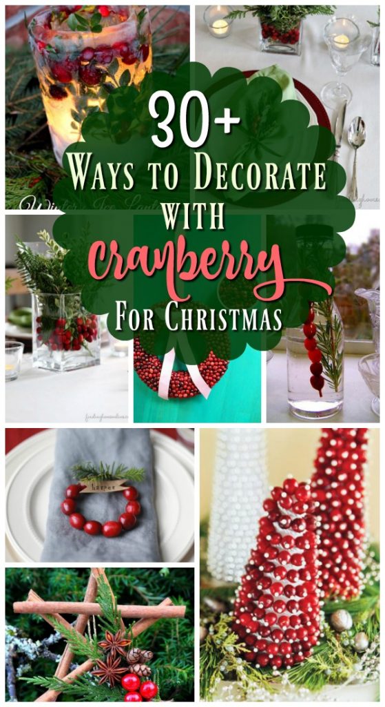 30+ Christmas Decorating with Cranberry – All About Christmas